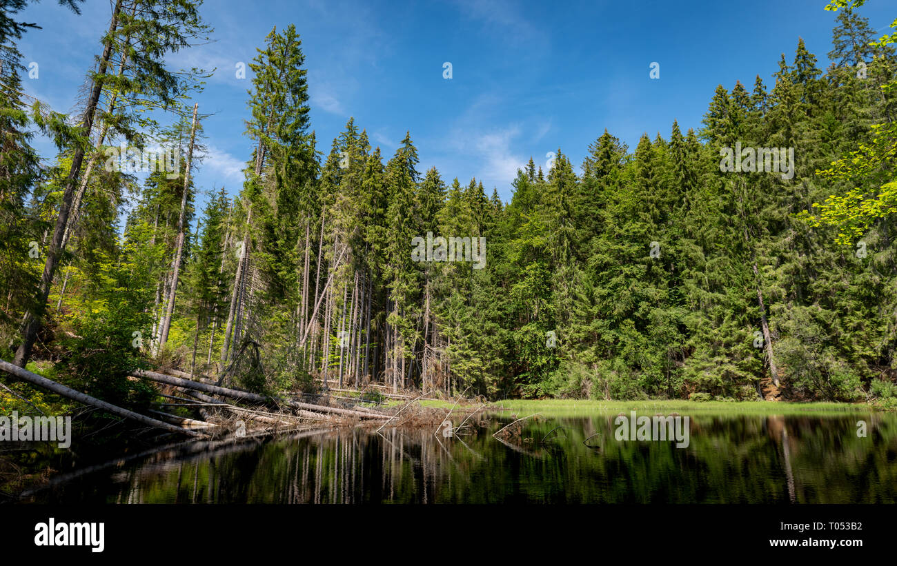 Bohemian forest national park hi-res stock photography and images - Alamy
