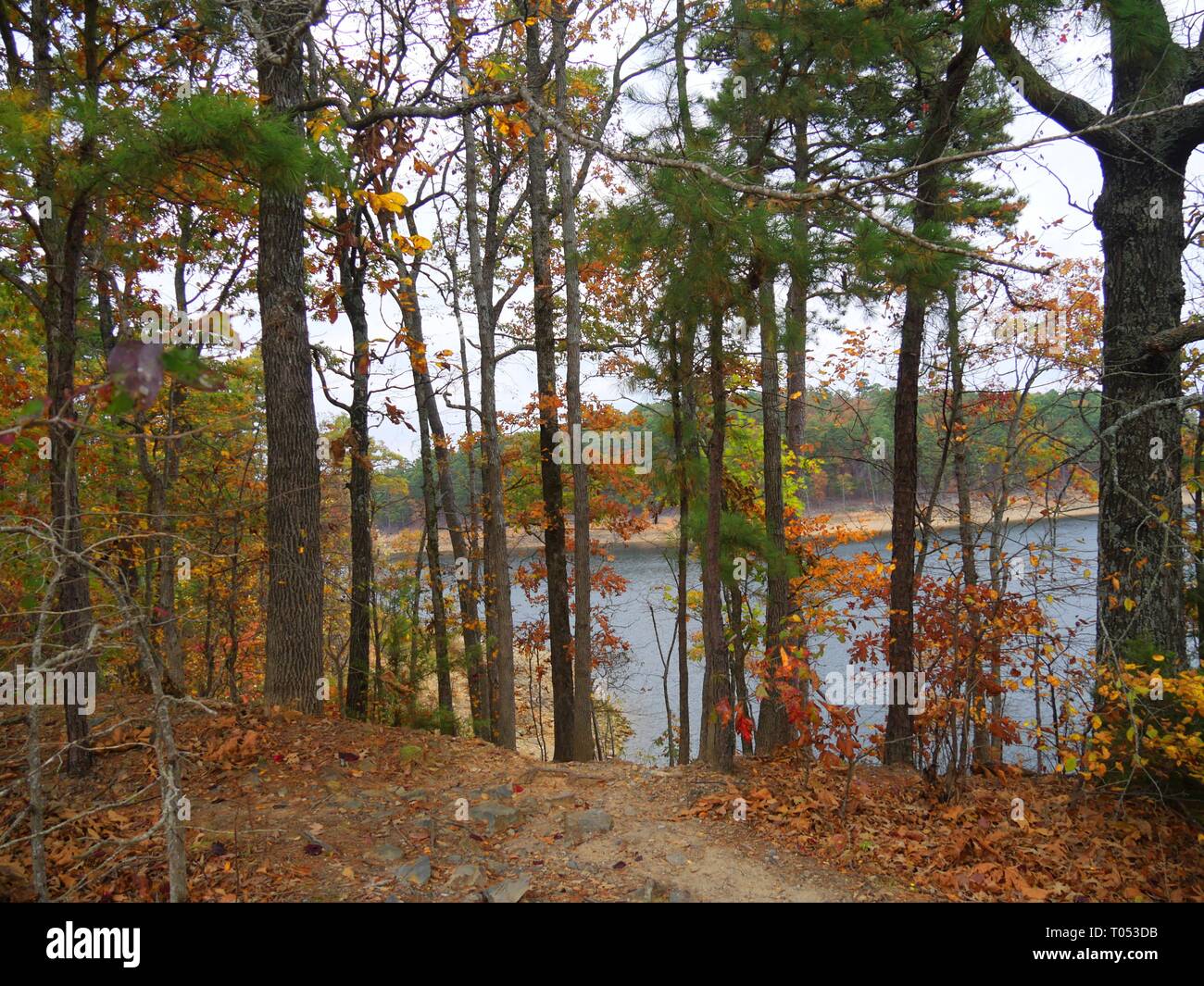 Colorful line of trees bordering a lookout to a river Stock Photo - Alamy