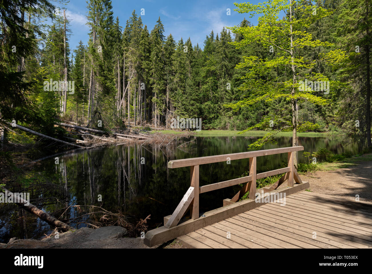 Bohemian forest national park hi-res stock photography and images - Alamy