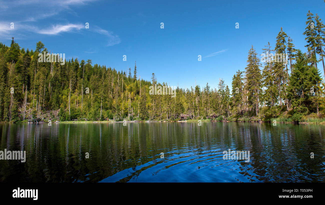 Sumava national park hi-res stock photography and images - Alamy