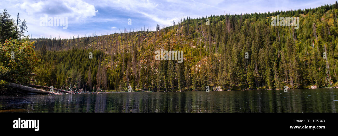 Sumava national park hi-res stock photography and images - Alamy