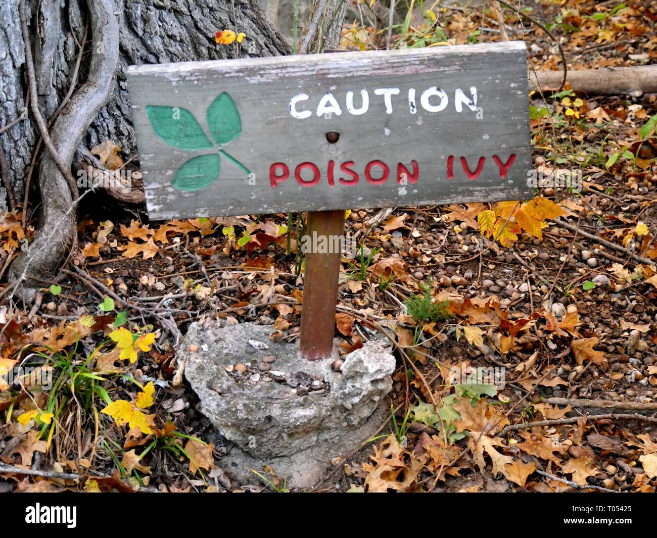 Warning sign in the ground with lots of poison ivy around Stock Photo ...