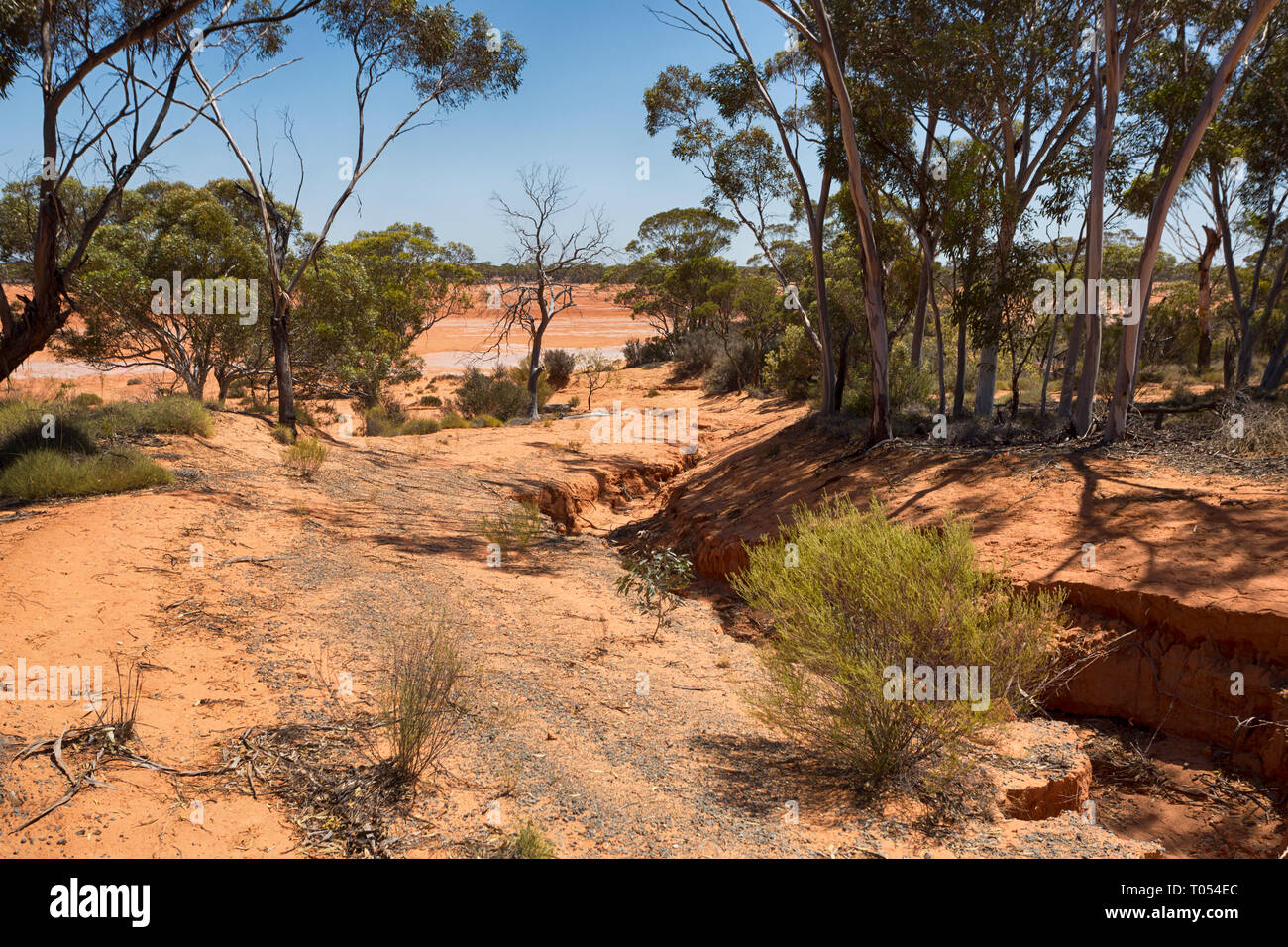 Norseman Western Australia High Resolution Stock Photography and Images ...