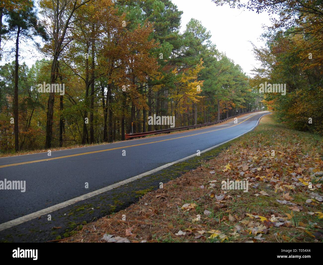 Beautiful straight road landscape around hi-res stock photography and ...