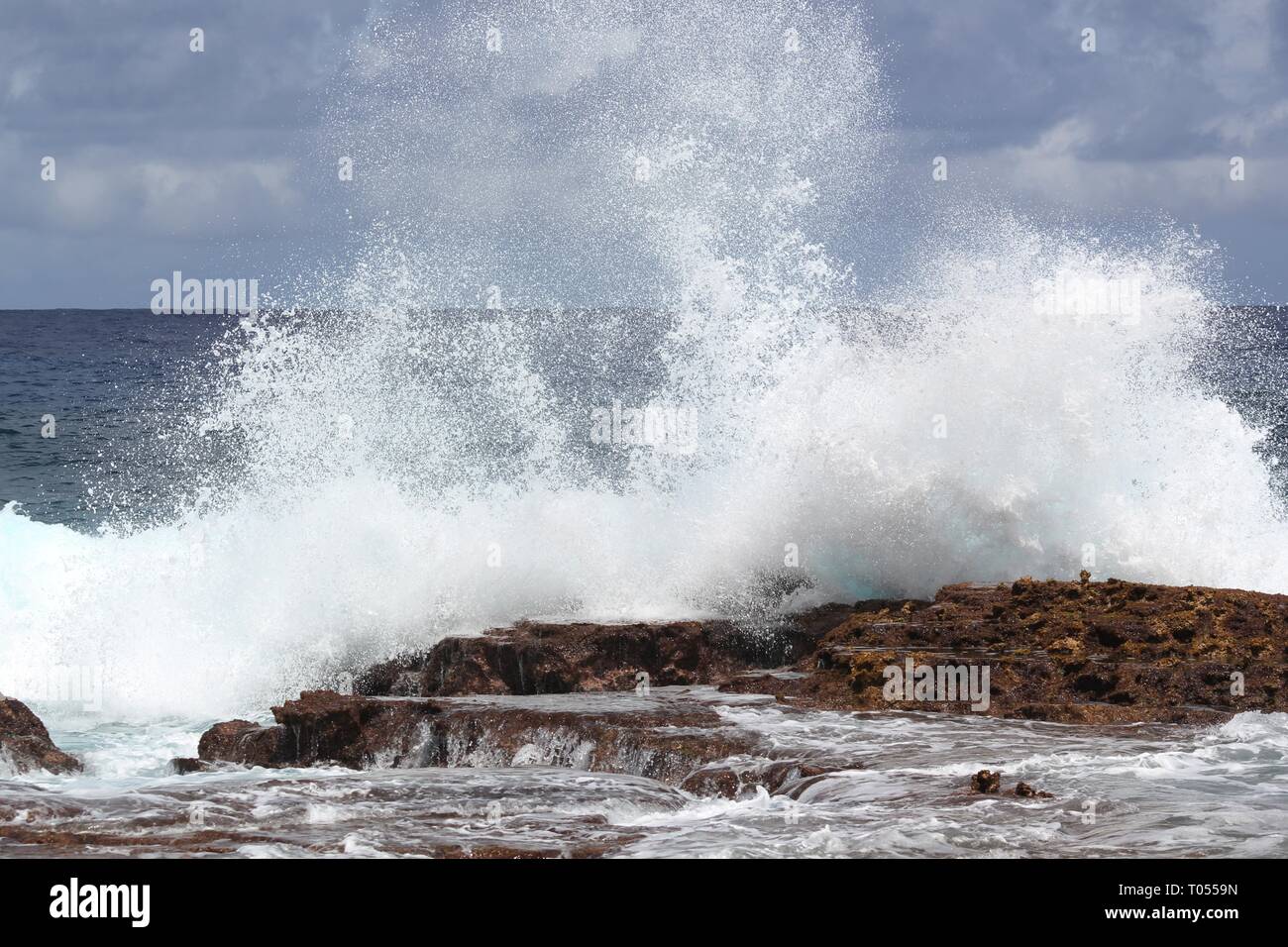 Close up of a giant splash of waves breaking against a coral platform ...