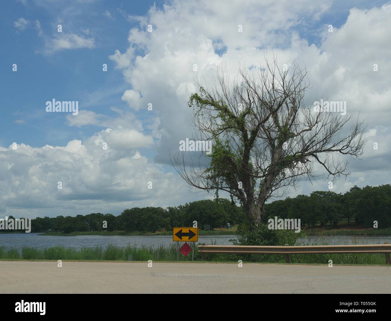 A partially leafless tree stands out over the Guthrie Lake on a bright ...