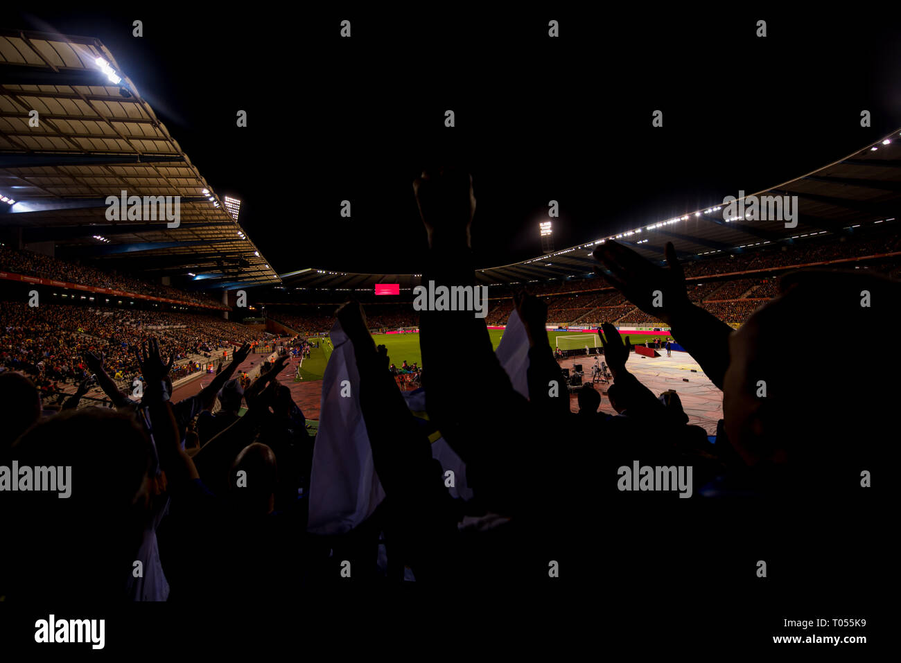 group of football, soccer fans support their favorite sports team and ...