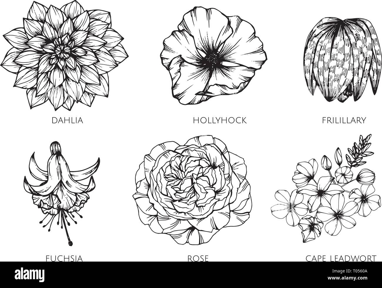 Collection set of flower drawing illustration. for pattern, logo ...