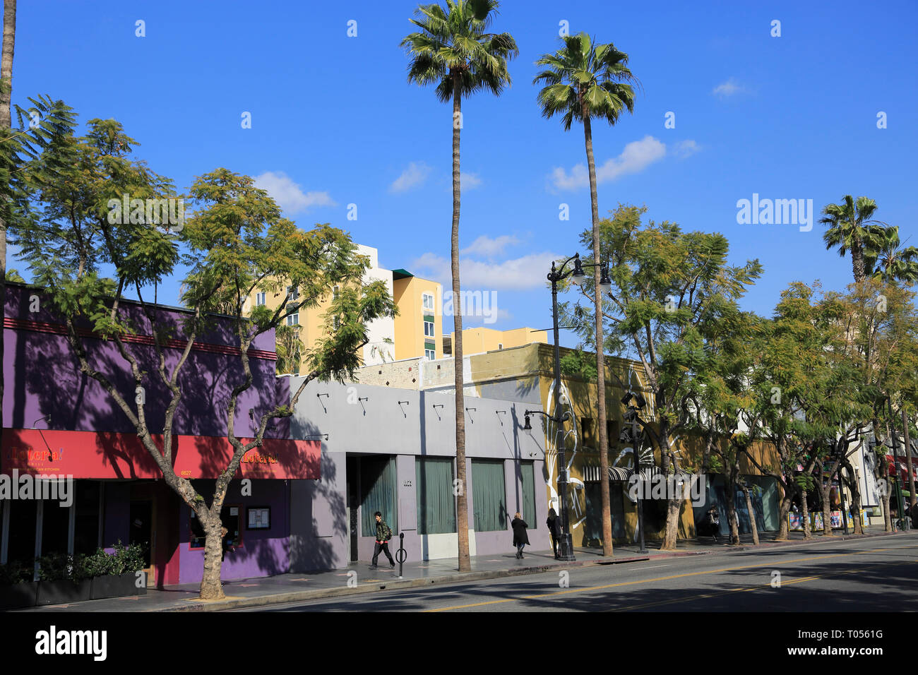 Hollywood Boulevard, Hollywood, Los Angeles, California, USA Stock ...
