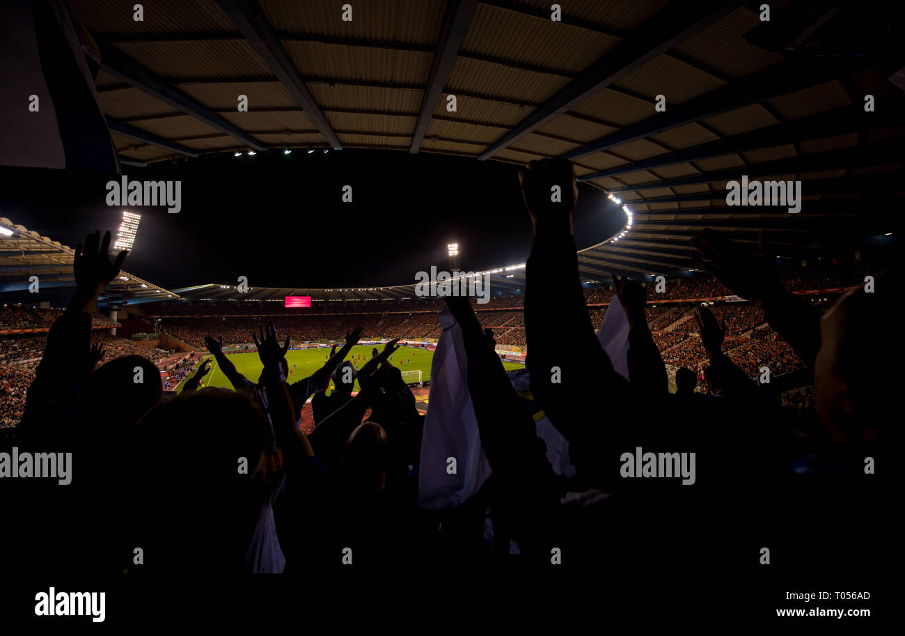 group of football, soccer fans support their favorite sports team and ...