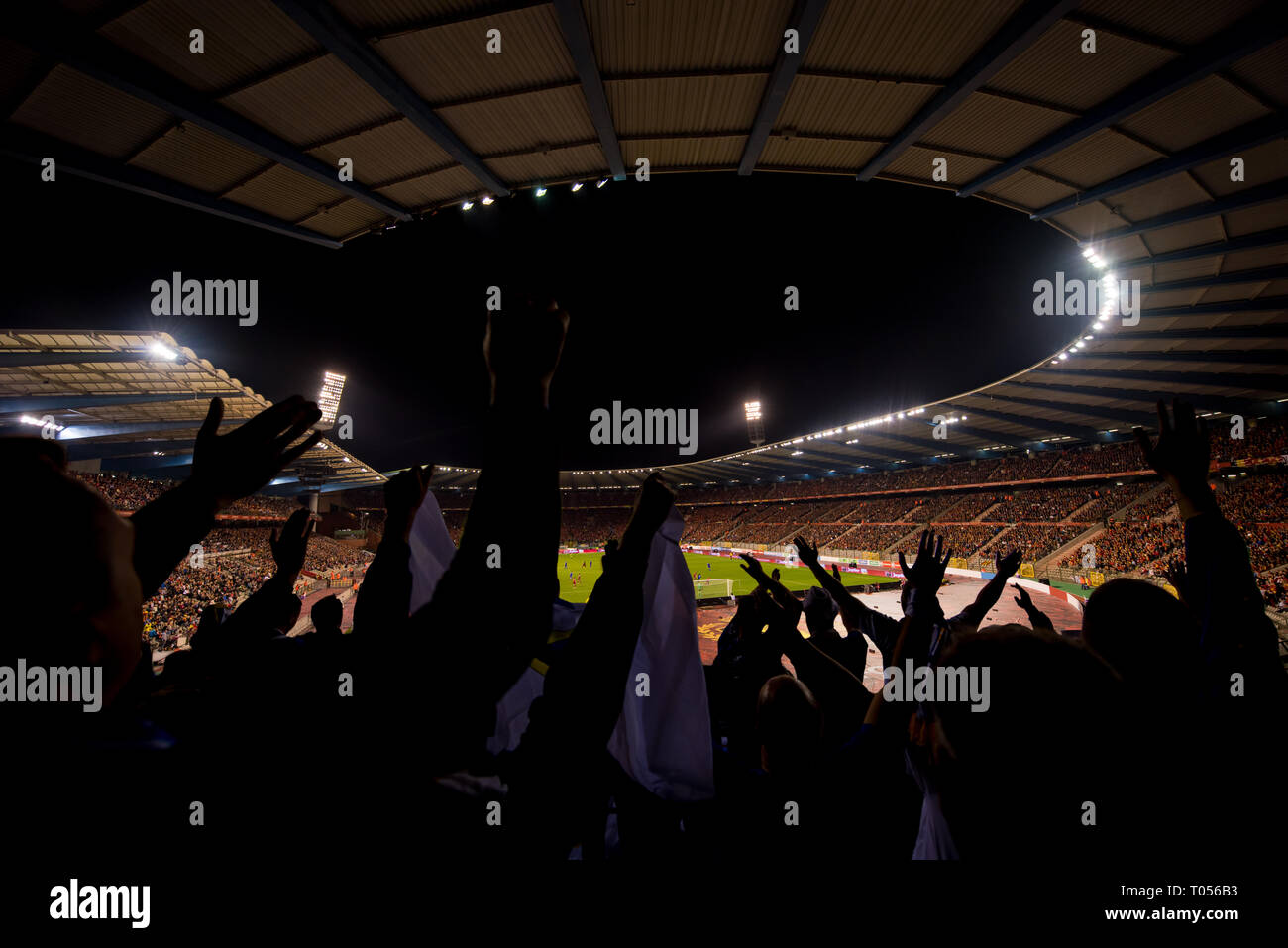 group of football, soccer fans support their favorite sports team and ...