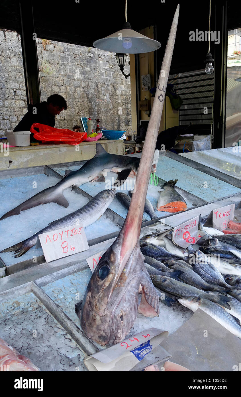 Xiphias gladius swordfish hi-res stock photography and images - Alamy