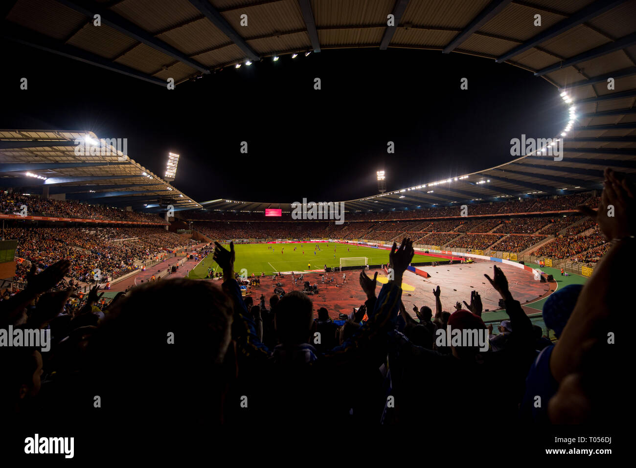 group of football, soccer fans support their favorite sports team and ...