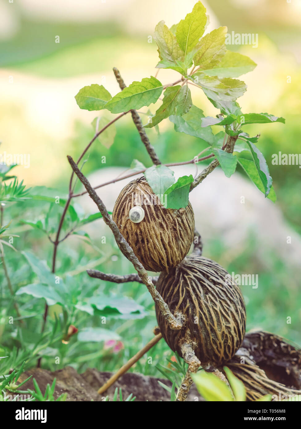 An artificial ant statue made from coconut, decorated on trees in the ...