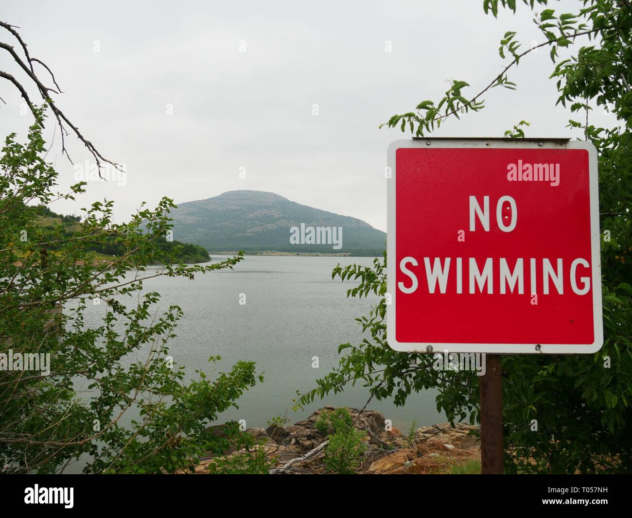 No Swimming sign posted at the edge of a lake Stock Photo - Alamy
