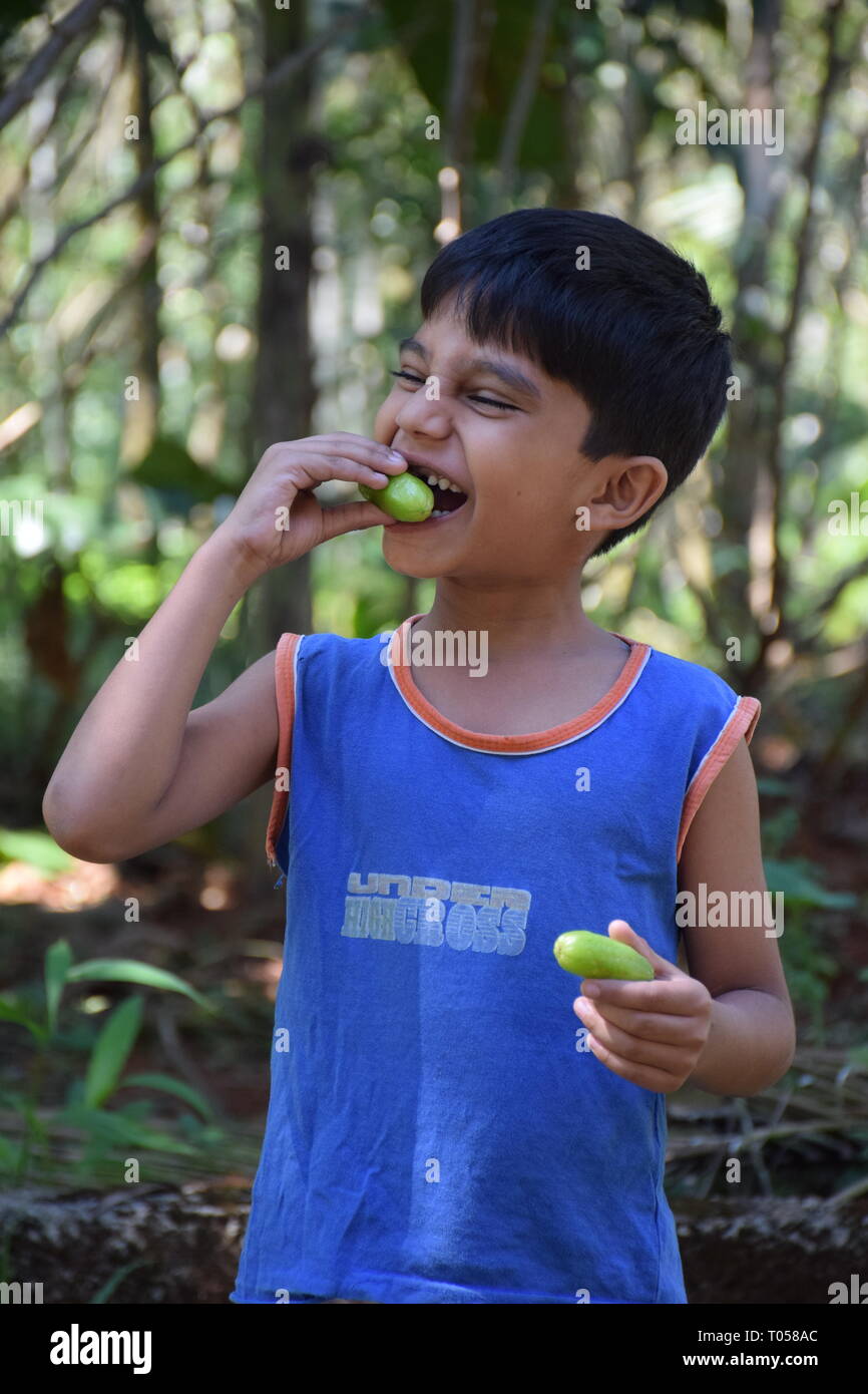 A child playing and eating irumban puli(Averrhoa bilimbi Stock Photo ...