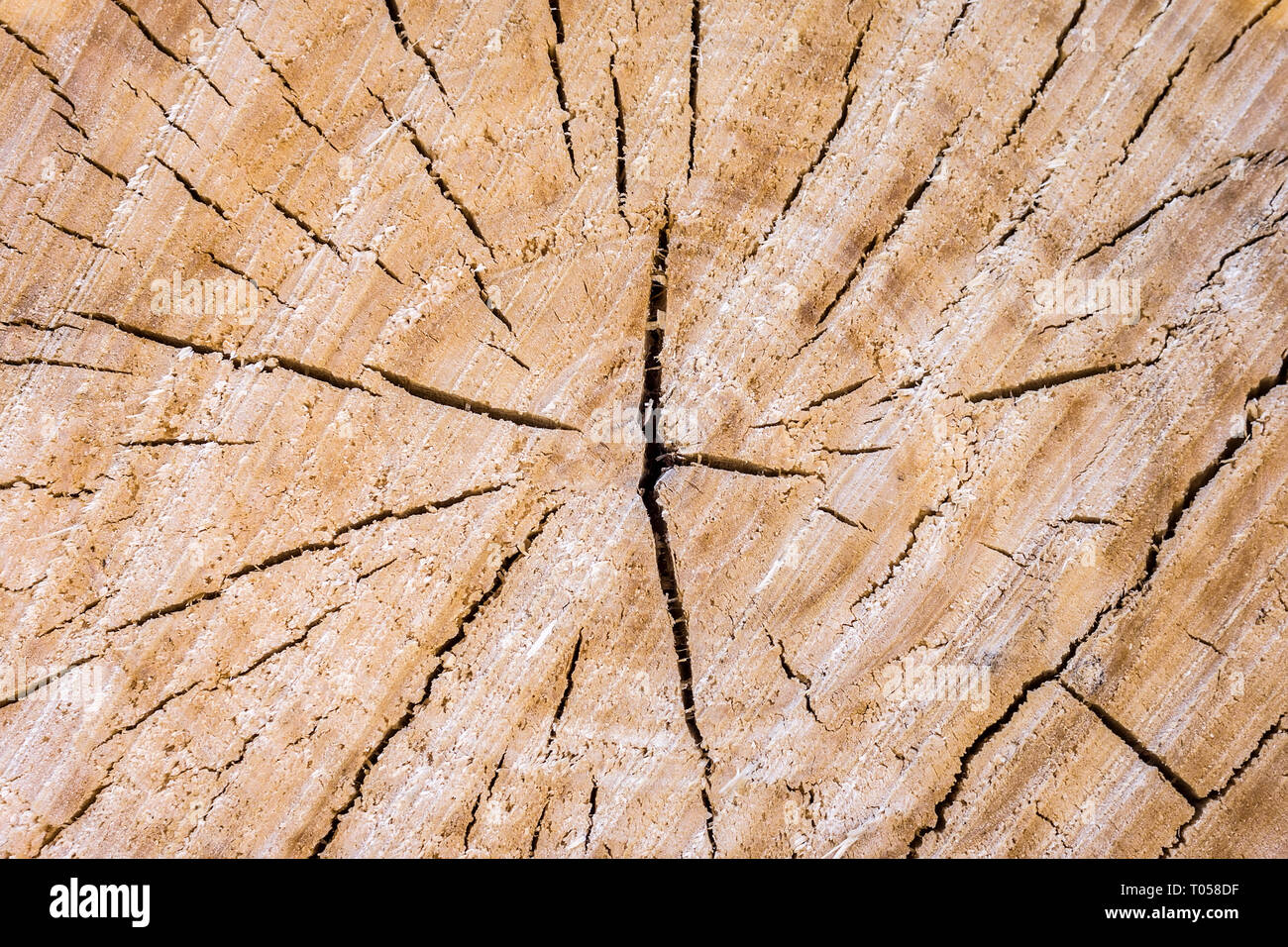 texture of felled wood, wooden frame background Stock Photo - Alamy