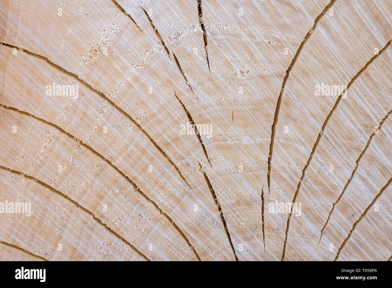 texture of felled wood, wooden frame background Stock Photo - Alamy