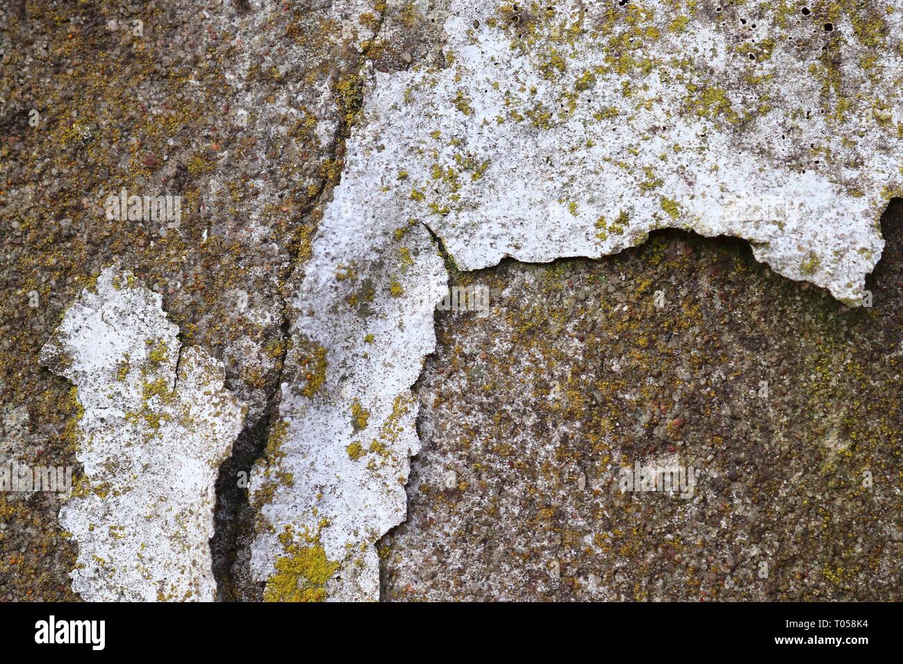 Close up surface of aged and weathered paint on different walls in high ...