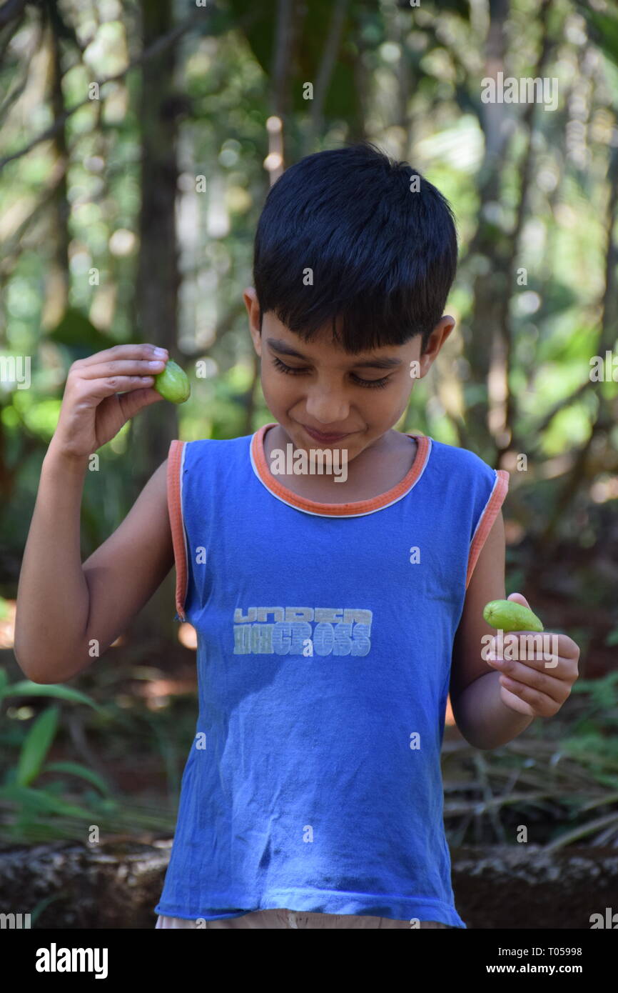 A child playing and eating irumban puli(Averrhoa bilimbi Stock Photo ...