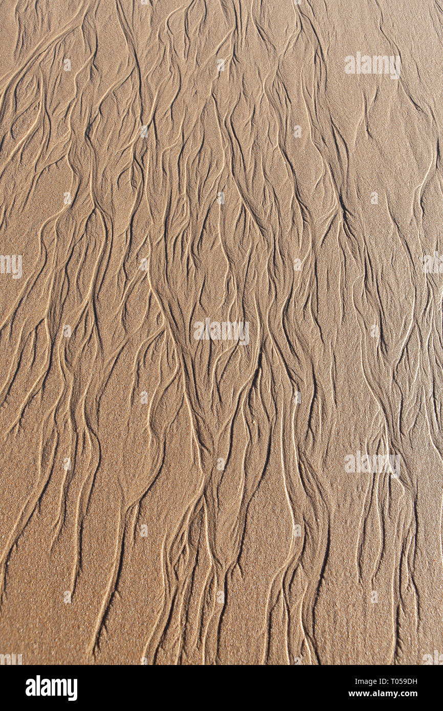 Natural sand texture of the beach. Brands made by water flowing through ...