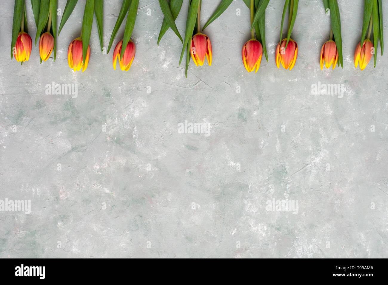 Spring nature background with blossom. Springtime concept. Top view ...