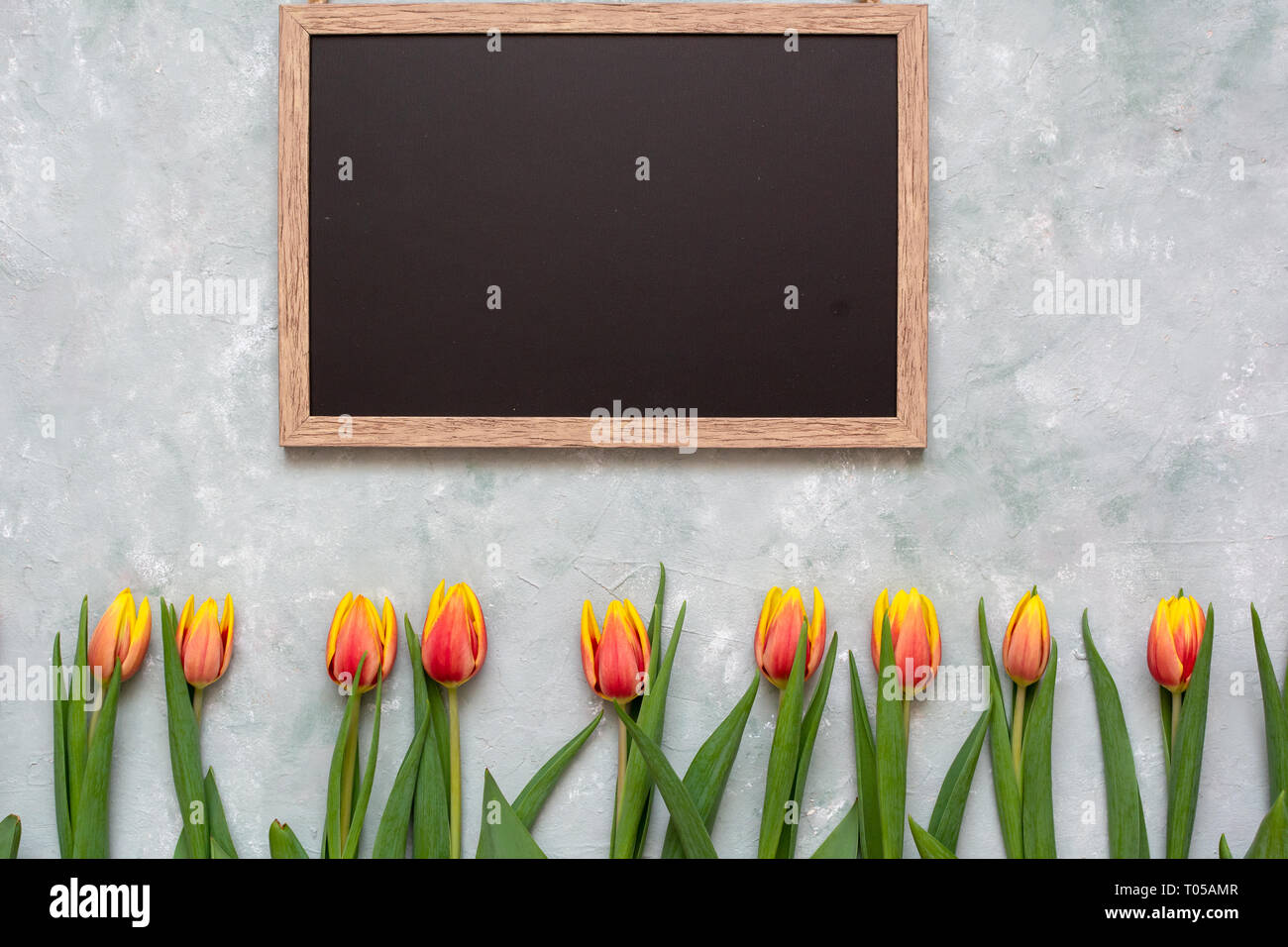 Spring nature background with blossom. Springtime concept. Top view ...