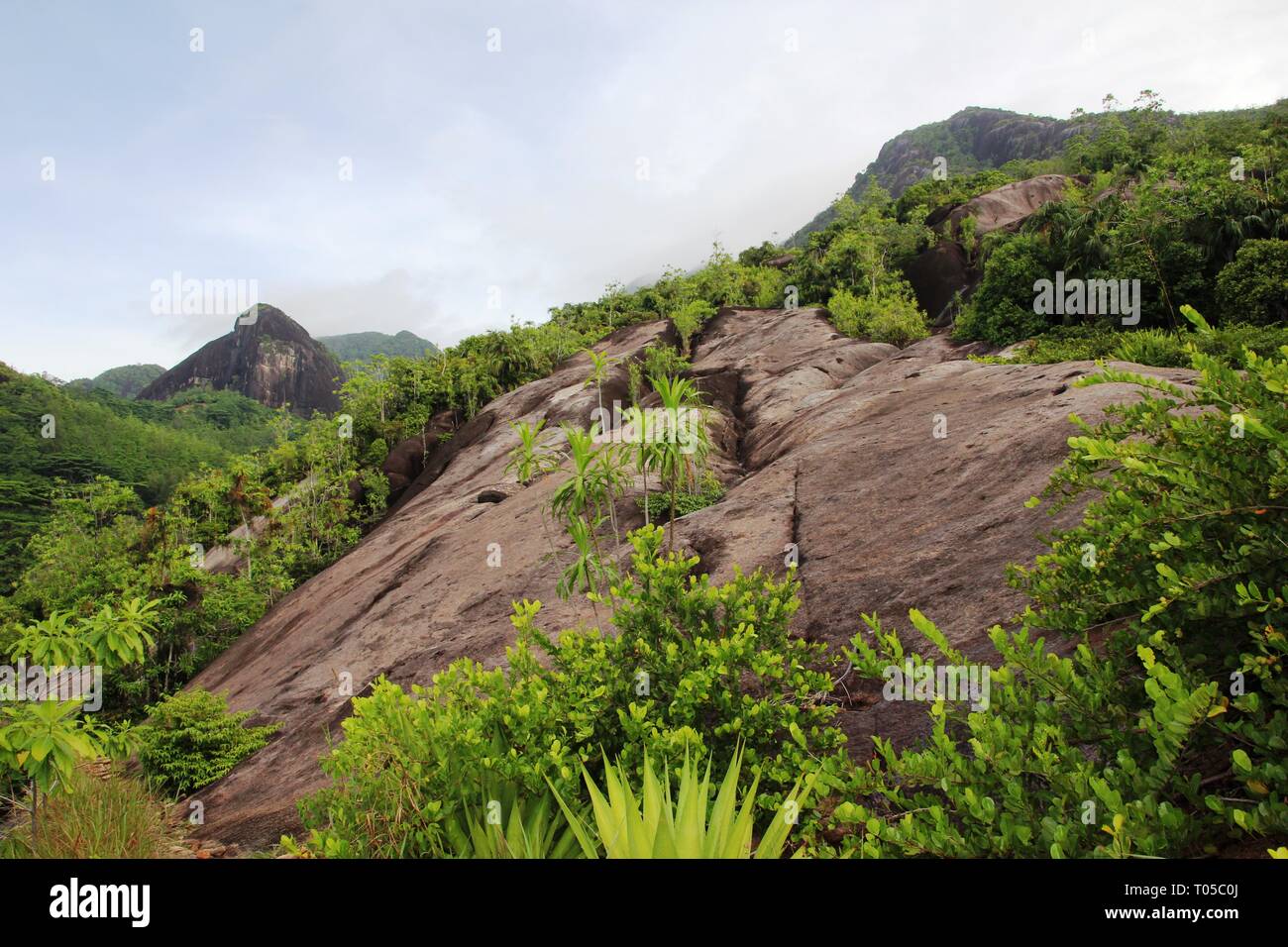 Tropical mountain slope hi-res stock photography and images - Alamy