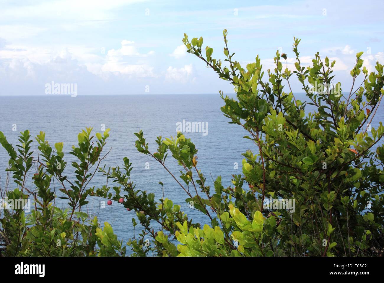 Tropical mountain slope hi-res stock photography and images - Alamy