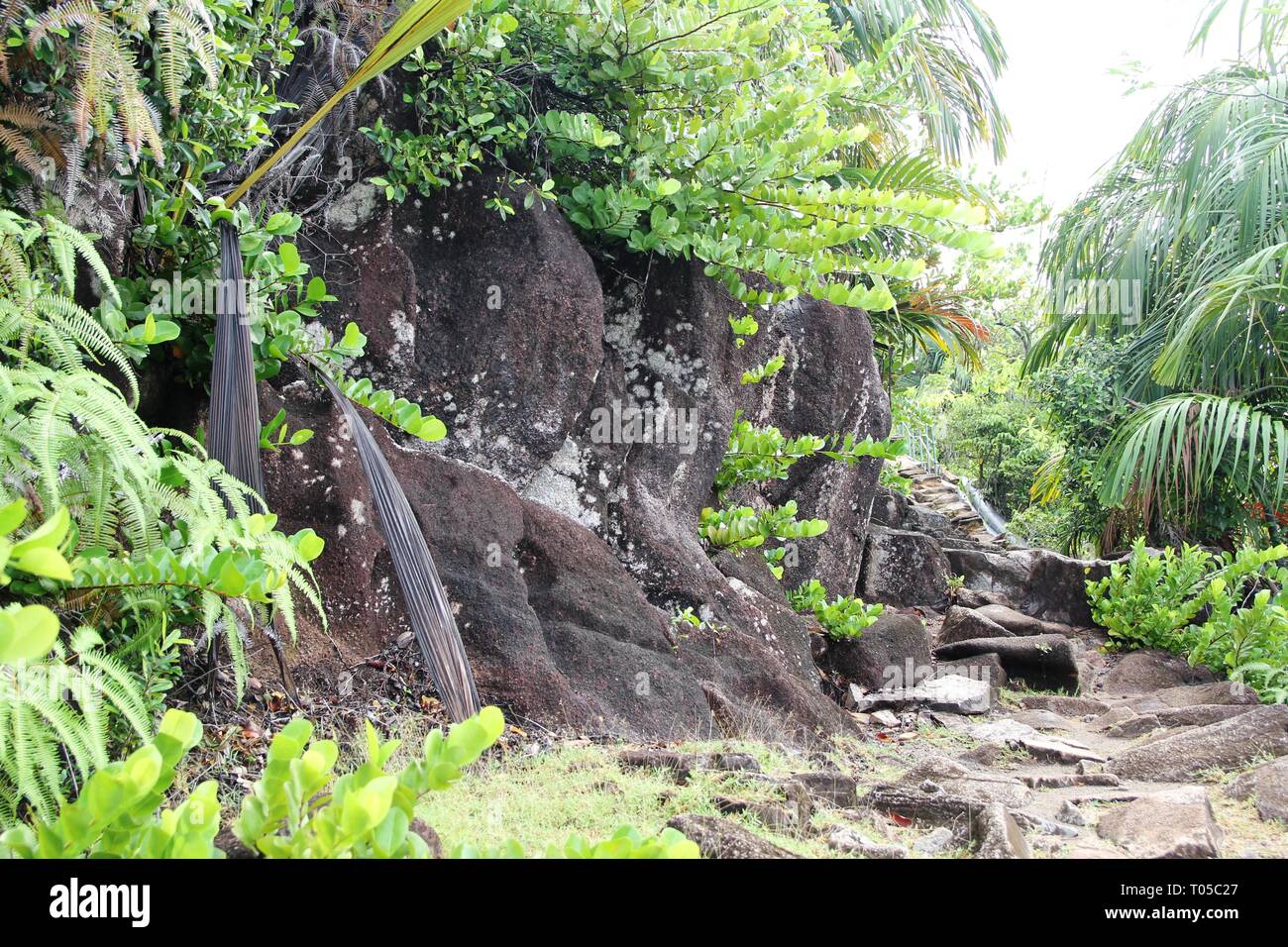 Mountain landscape. Green tropical trees on the mountain slopes Stock ...