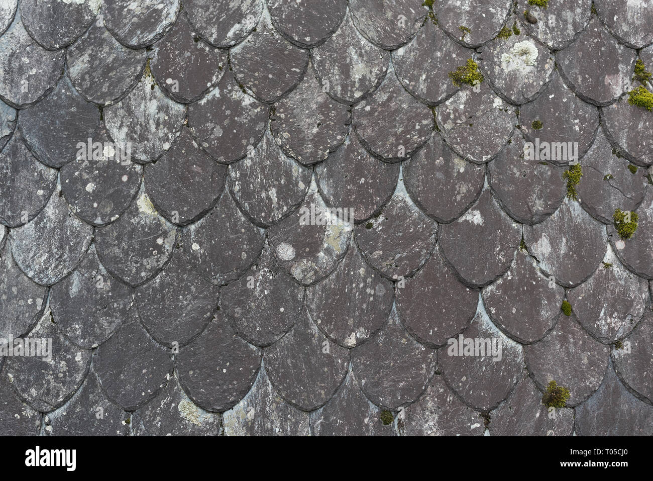 Traditional roof made of natural slate in Norway Stock Photo - Alamy