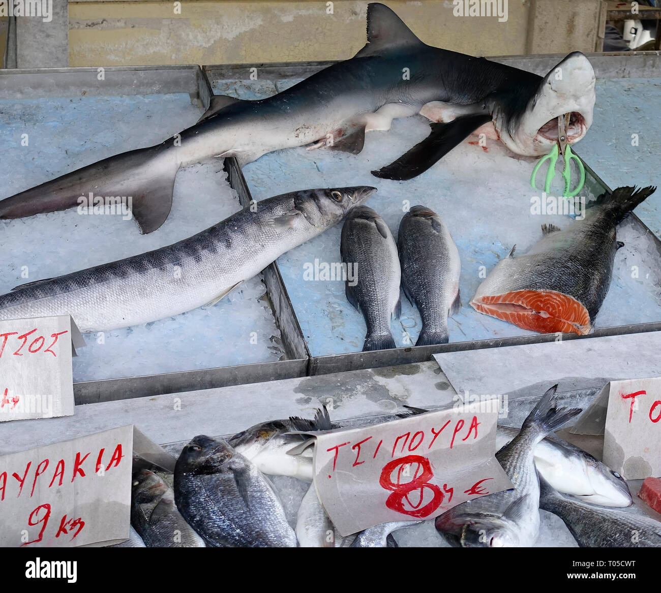 Corfu animals hi-res stock photography and images - Alamy