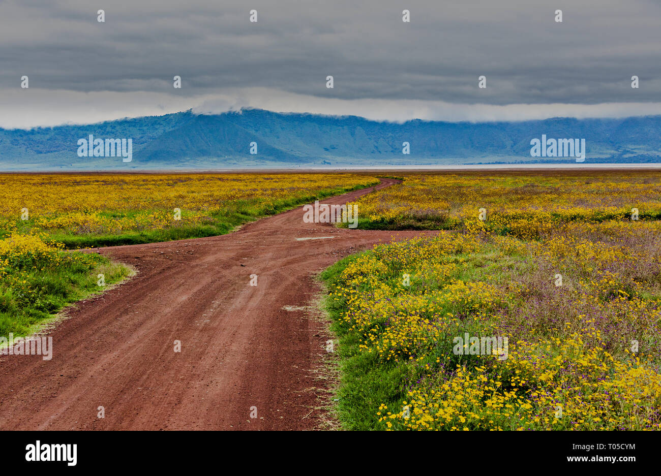 Crossroads africa hi-res stock photography and images - Alamy