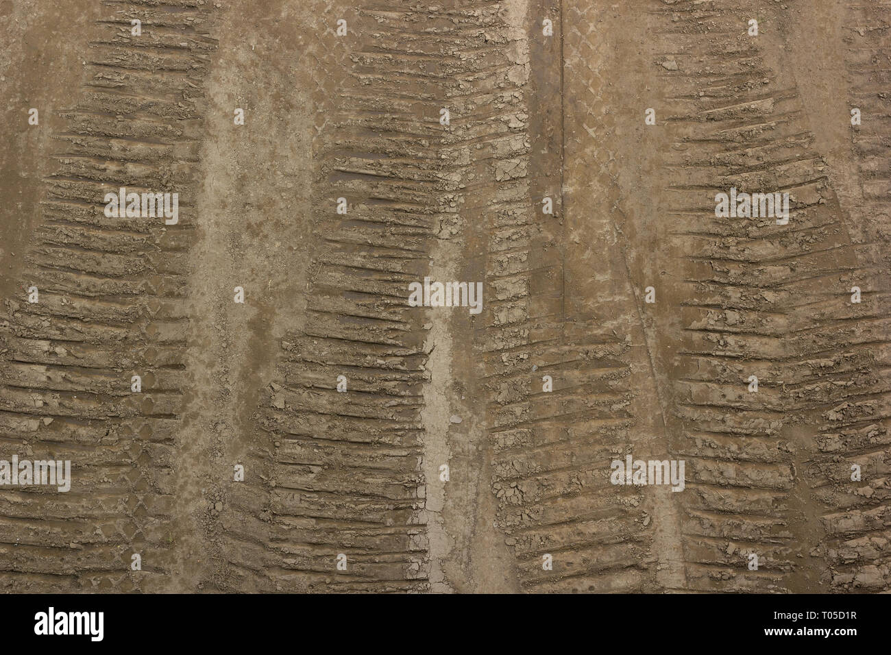 Tire tracks on a brown dirt road, textured imprints in different ...