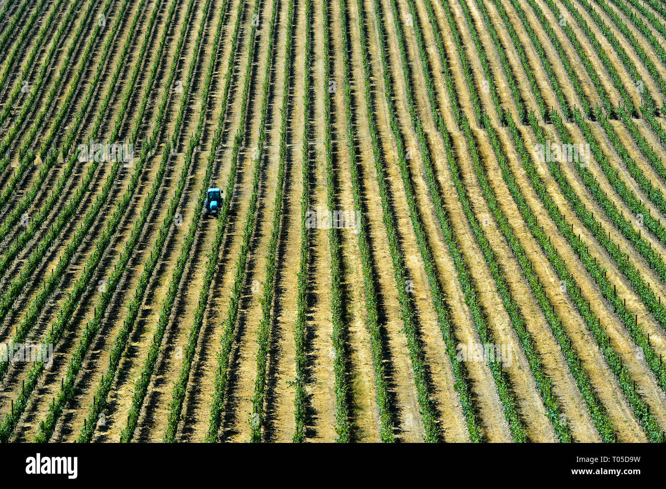 Cultivation on slope hi-res stock photography and images - Alamy