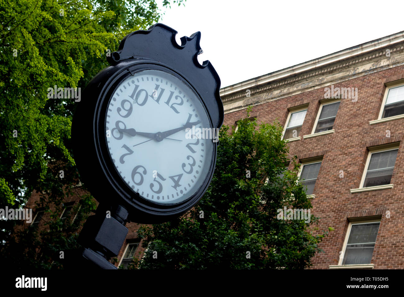 Outdoor clock in front of a brick wall and trees Stock Photo - Alamy