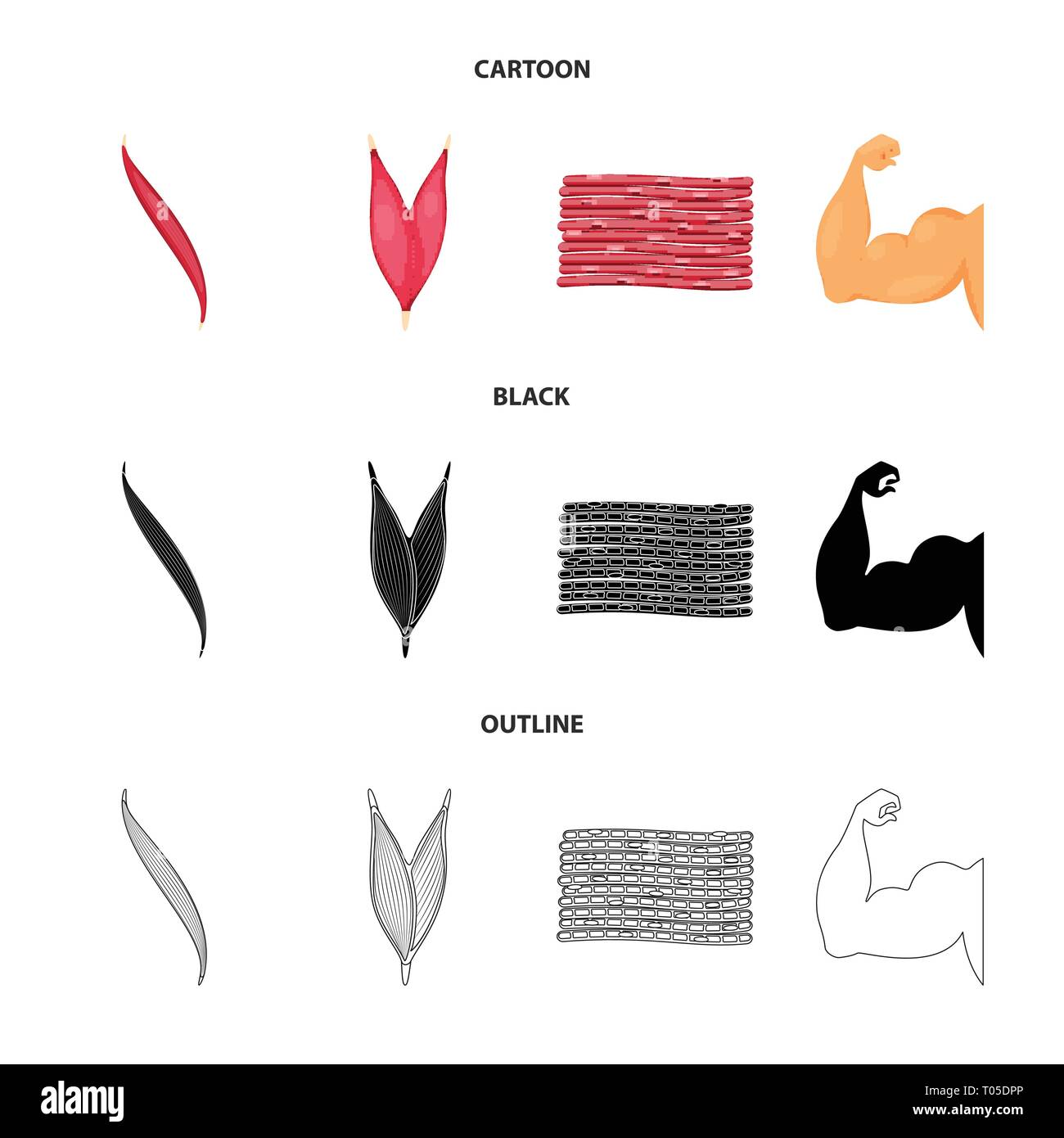 Vector illustration of fiber and muscular logo. Collection of fiber and ...