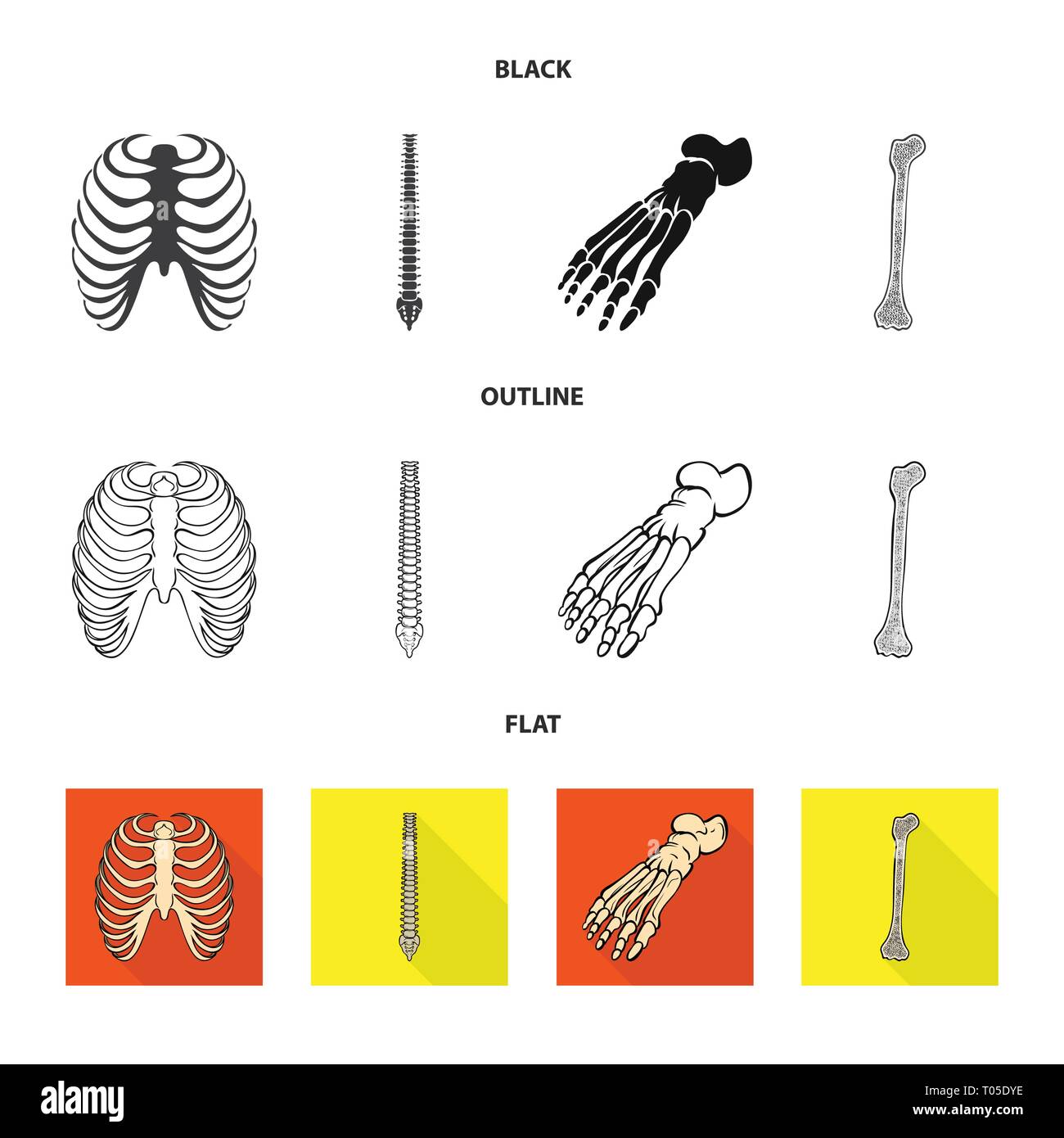 Spinal alignment Stock Vector Images - Alamy