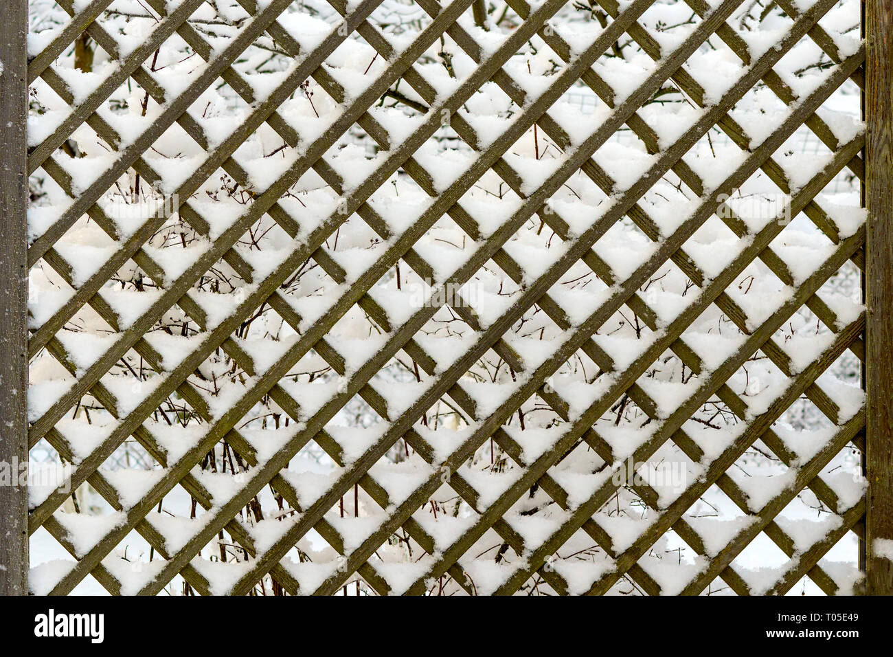 wooden lattice made of larch planks after snowfall Stock Photo - Alamy