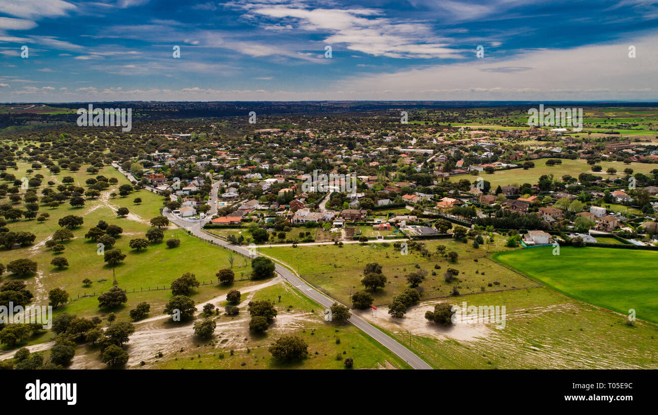 Aerial view oak tree hi-res stock photography and images - Alamy