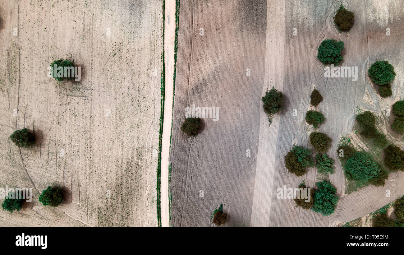 Aerial view oak tree hi-res stock photography and images - Alamy