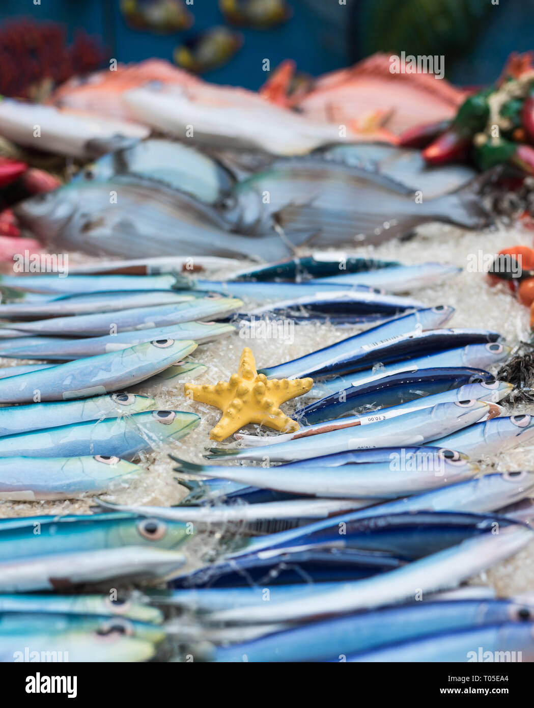 Special ceramic depictions of fish typical of the Mediterranean Sea in ...
