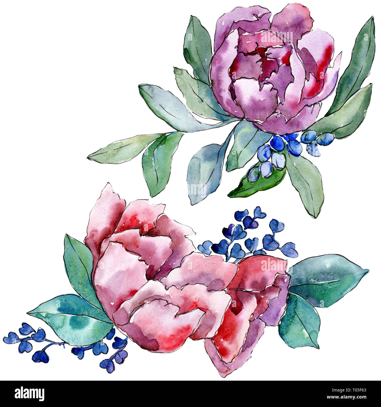 Purple bouquet foral botanical flowers. Watercolor background set ...
