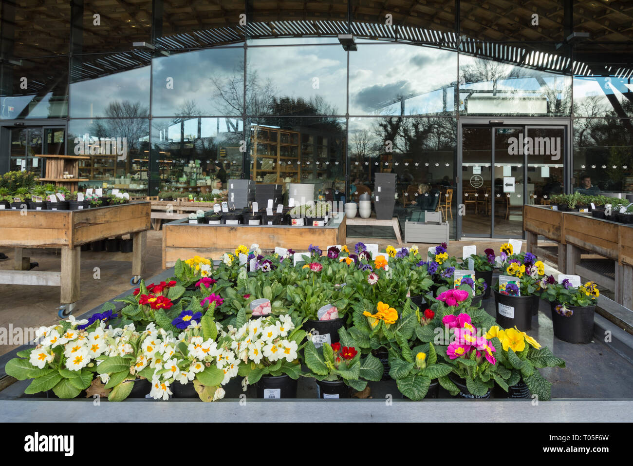 Savill Building High Resolution Stock Photography and Images - Alamy