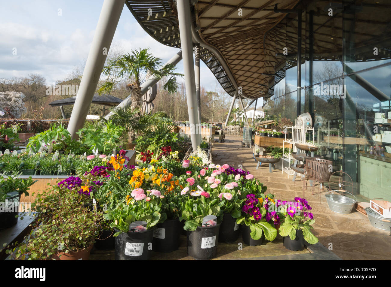 Savill building surrey hi-res stock photography and images - Alamy