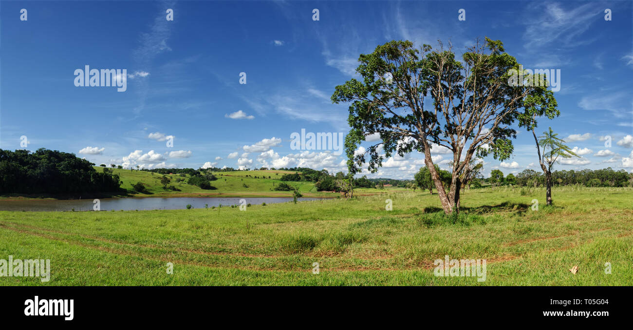Brazil countryside hi-res stock photography and images - Alamy