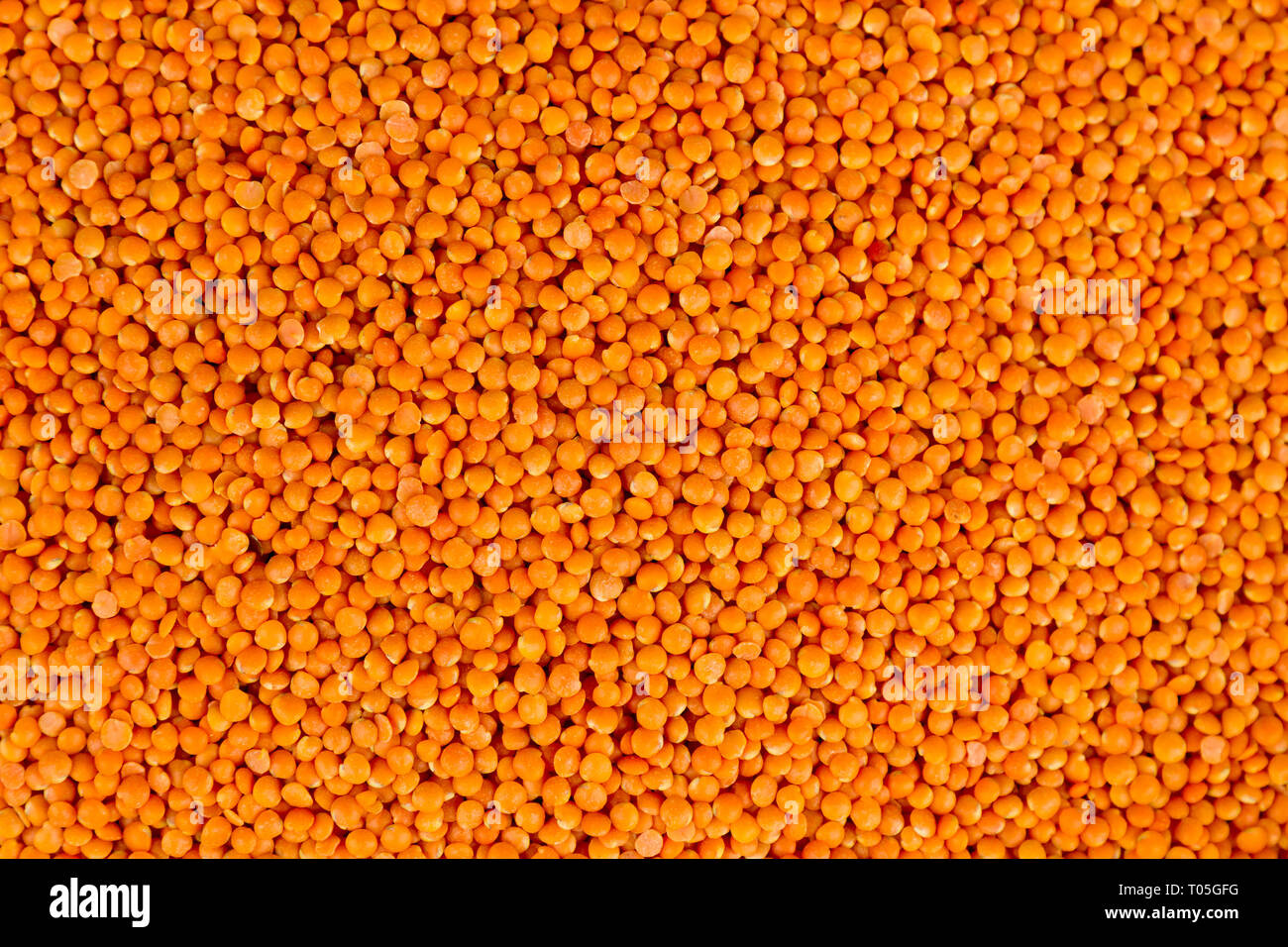 Red lentils. Lentils. Lentil texture. Lentil pattern Lentil background ...