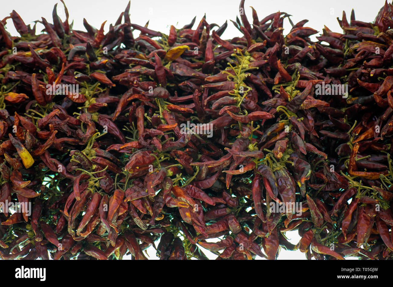 Named after the holy trinity column hi-res stock photography and images ...