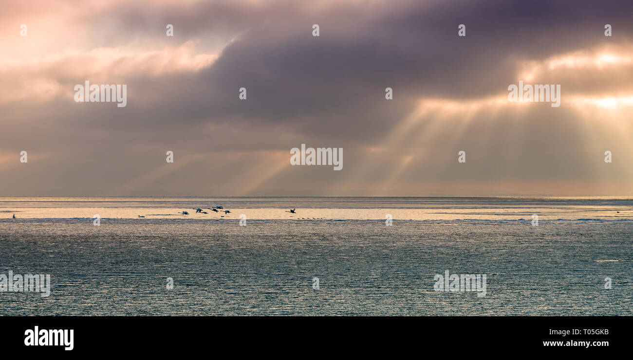Hel peninsula beach hi-res stock photography and images - Alamy