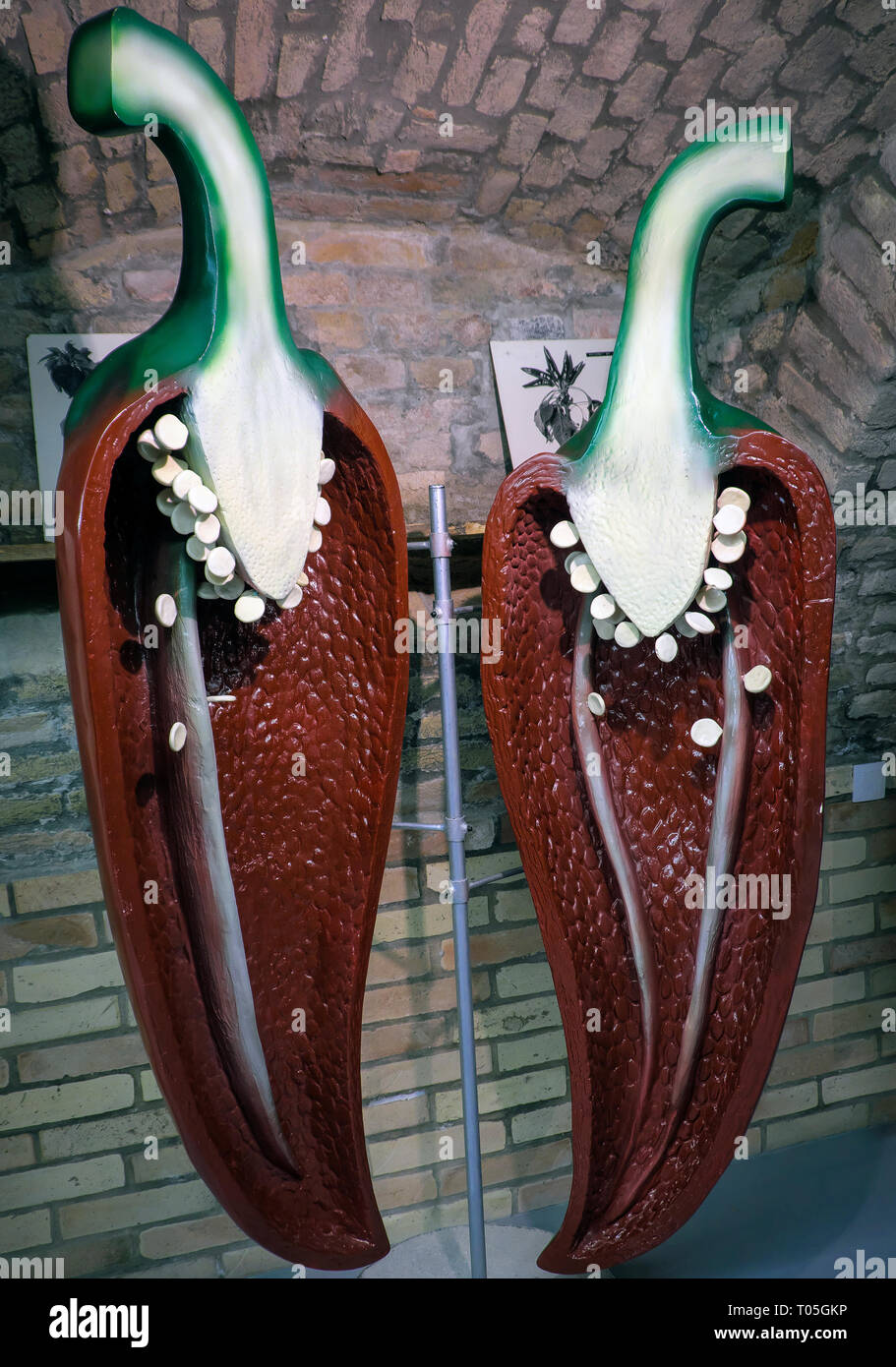 Named after the holy trinity column hi-res stock photography and images ...